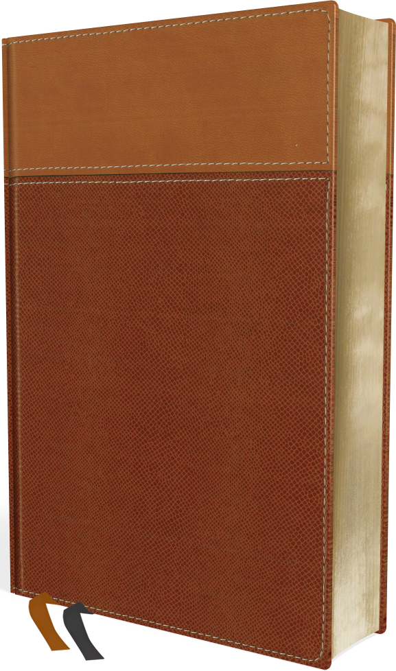 NIV Comfort Print Bibles - New International Version - Marketing Pages