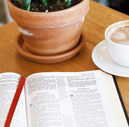 KJV Comfort Print® Bibles - See The Difference - Thomas Nelson ...