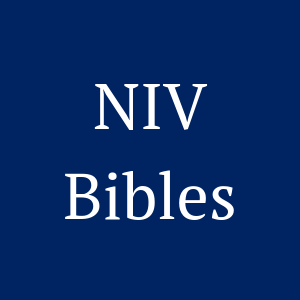 New International Version (NIV) Bibles - Zondervan