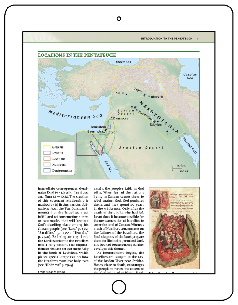 NIV Biblical Theology Study Bible - Home