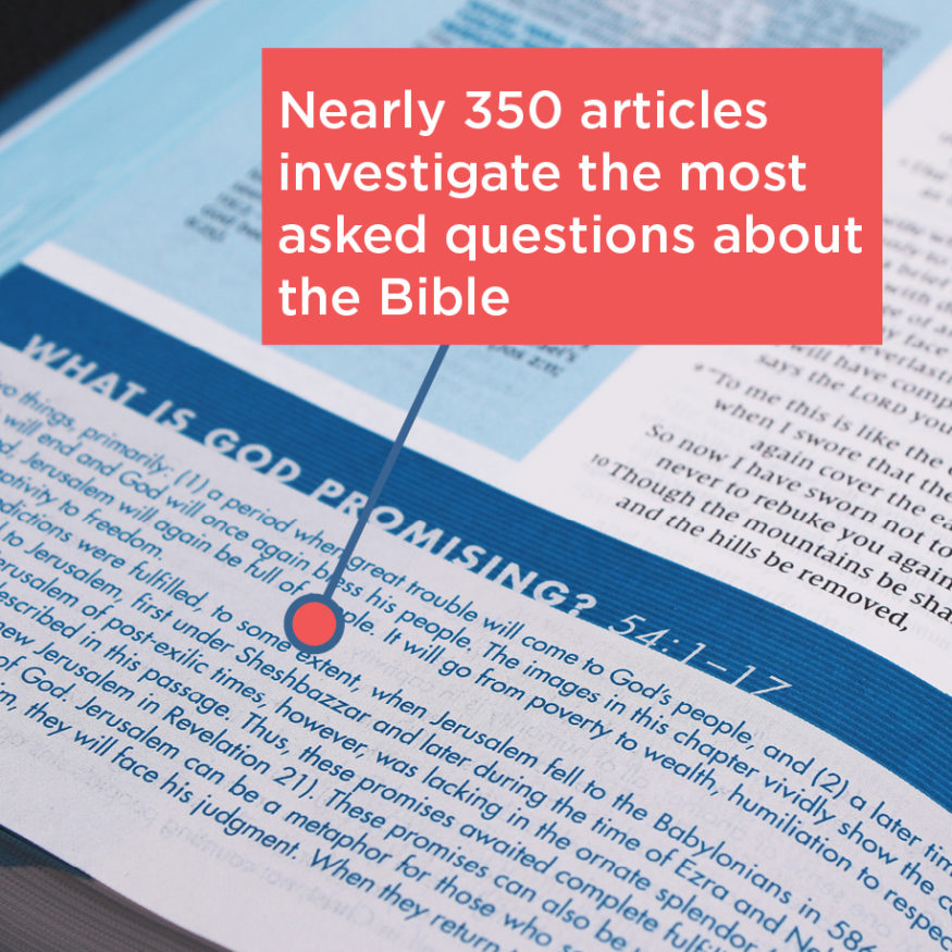 NIV Quest Study Bible