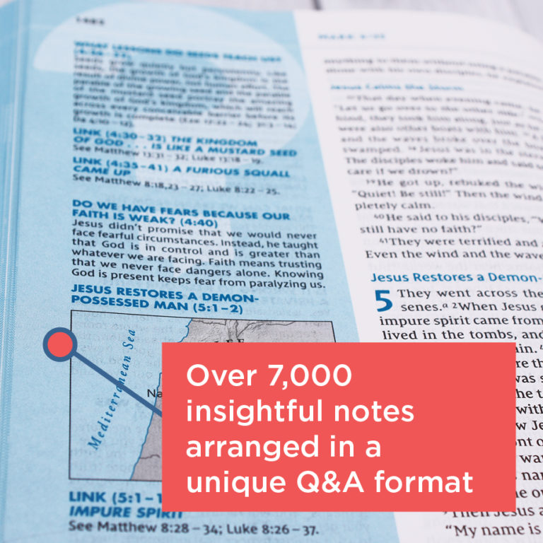 NIV Quest Study Bible