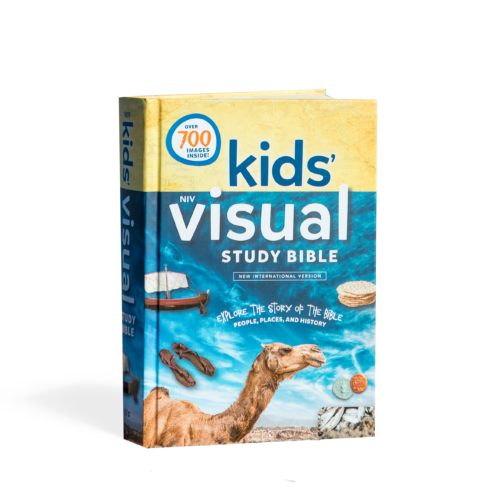 NIV Kids' Visual Study Bible | The Bible That Leaps Off the Page!