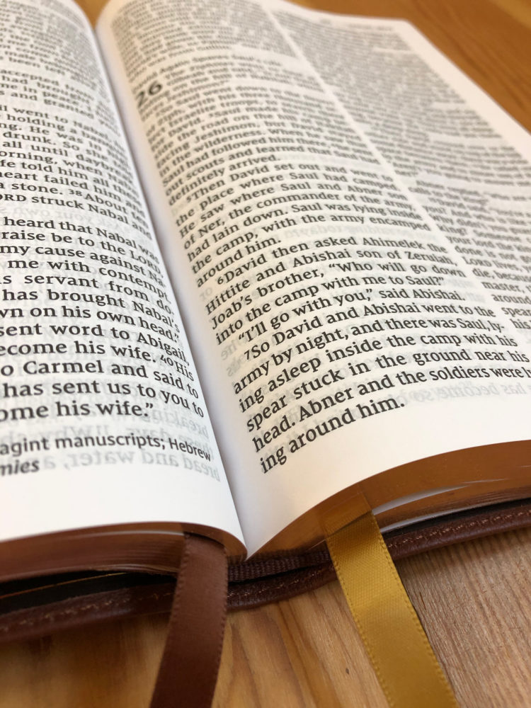 Zondervan Genuine Leather Bibles