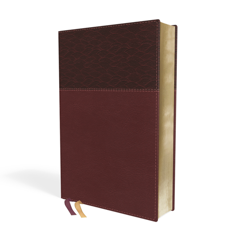 New American Standard Bible - Available Bibles, 2020 Text