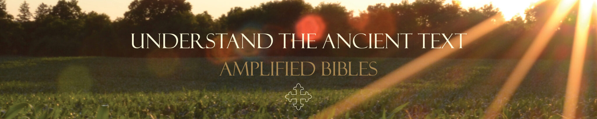 AMP Amazon Header - Marketing Pages