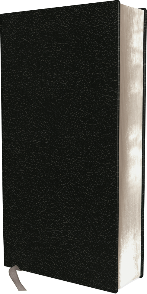 Retailer Website - NIV Pocket Thinline Bible