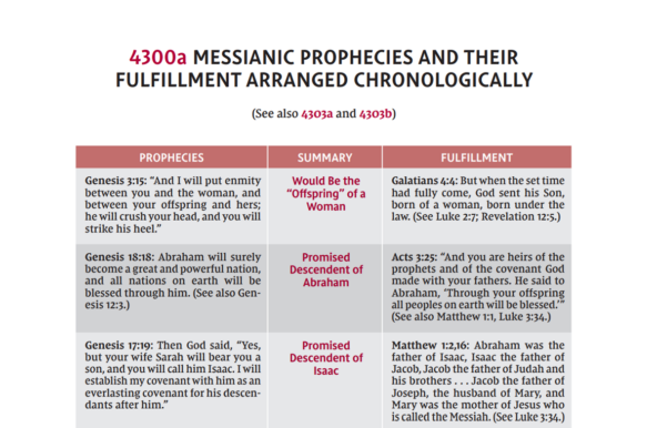 Thompson Chain-Reference Bible - Blog