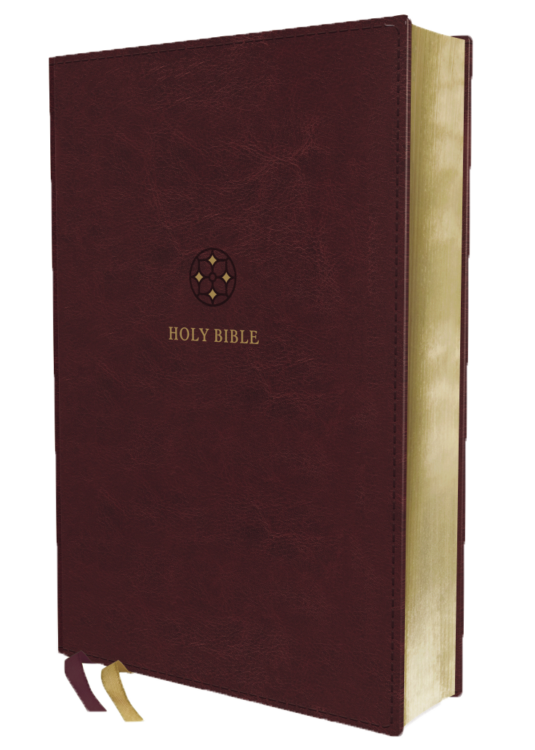 New Revised Standard Version, Updated Edition (NRSVue) - Home