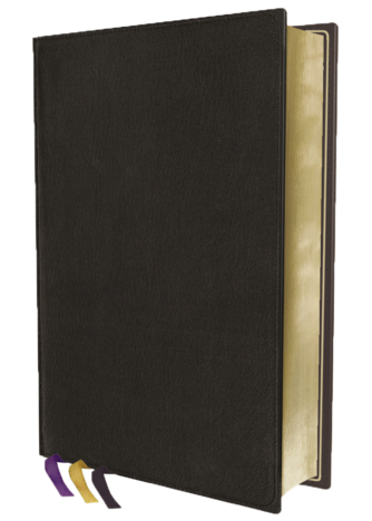 New Revised Standard Version - NRSV Bibles with Apocrypha
