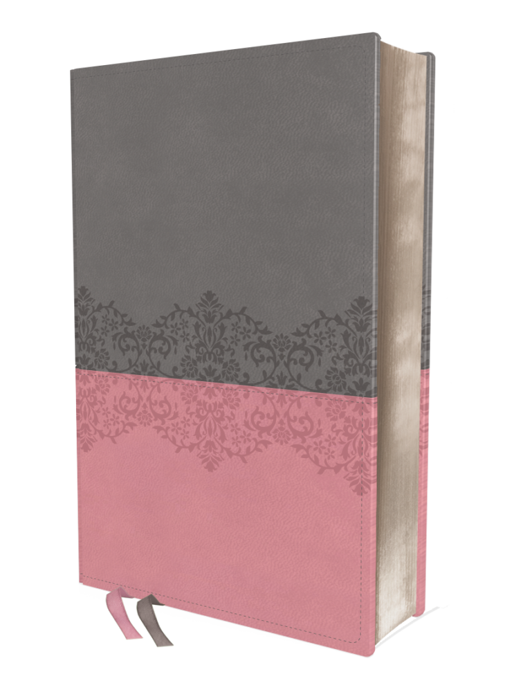 NIV Quest Study Bible - Shop Bibles