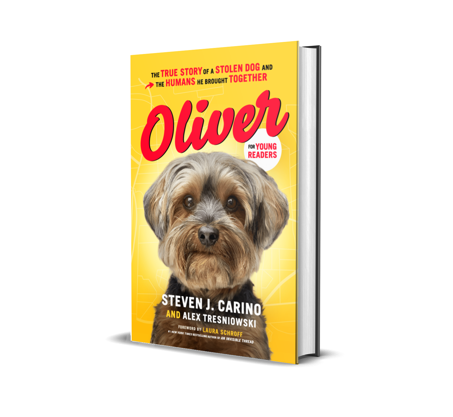 Oliver - New Book from Steven J. Carino