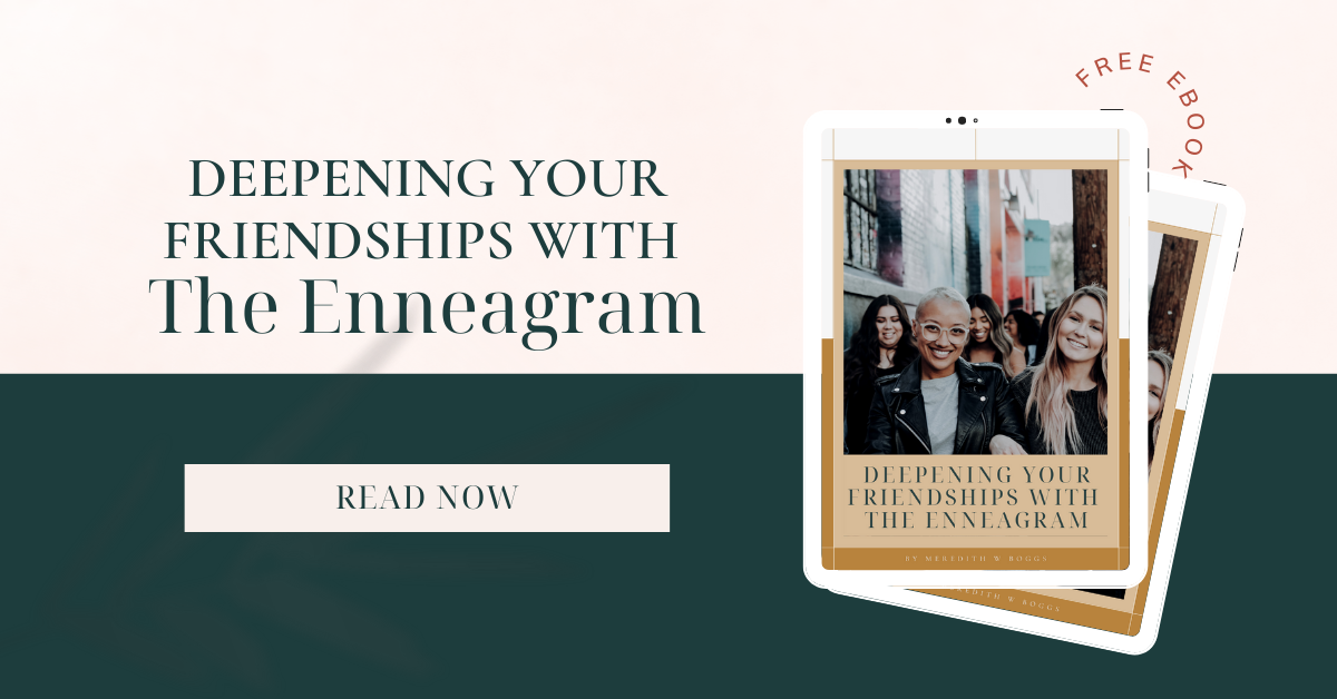 The Journey Home - The New Book from Meredith Boggs